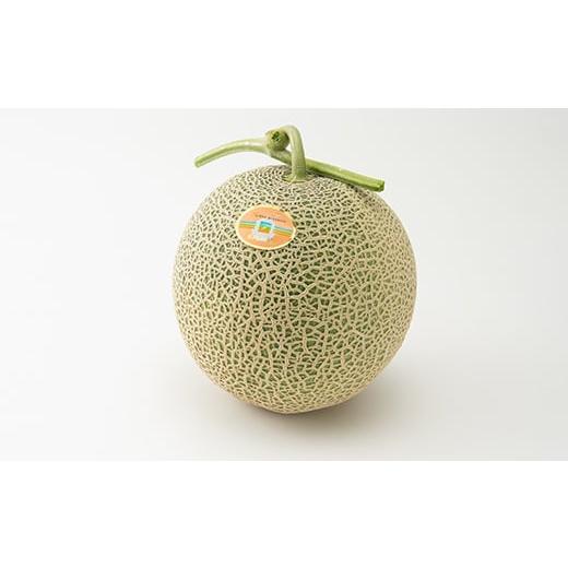 ふるさと納税 メロン メロン赤肉 北海道 富良野市 糖度16度以上 富良野産 赤肉メロン 1玉入り 1494972 : 6177560 ...