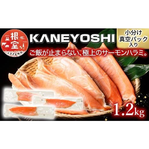 ふるさと納税 魚貝類 サーモン 北海道 根室市 G-09006 とろサーモンハラミ1.2kg : ふるさとチョイス - 通販 - Yahoo!ショッピング