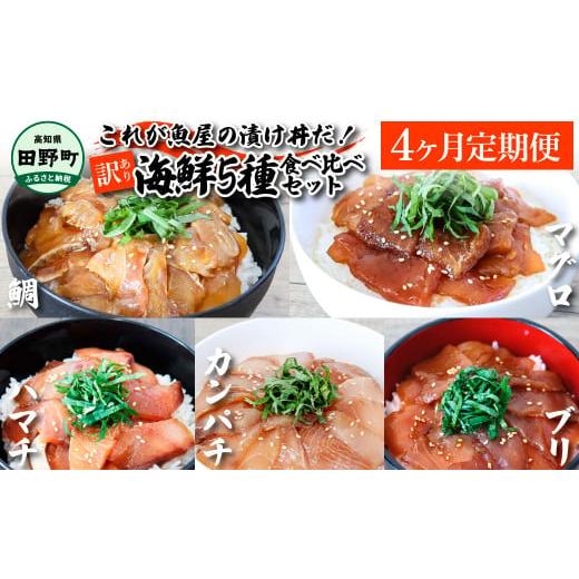 ふるさと納税 魚貝類 高知県 田野町 ふるさと納税 これが魚屋の漬け丼だ 海鮮5種食べ比べセット 80g×10P 4ヶ月定期便 訳あり 鮪 マグロ ハマチ 鯛 タイ カン… : 6220374 ...