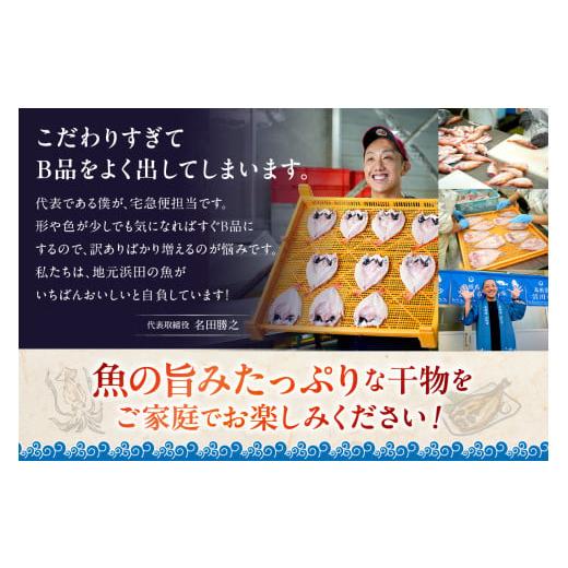 ふるさと納税 イカ 島根県 浜田市 訳アリ 白いか一夜干し （70g〜150gx6〜10枚） 小分け いか 白いか 無添加 個包装 一夜干し 産地直送 136_1984 : ふるさとチョイス ...