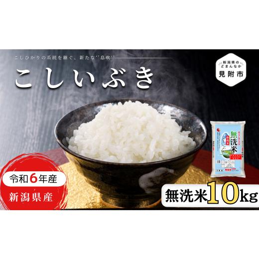 ふるさと納税 米 新潟県 見附市 R6年産 無洗米 新潟県産 こしいぶき 10kg : ふるさとチョイス - 通販 - Yahoo!ショッピング