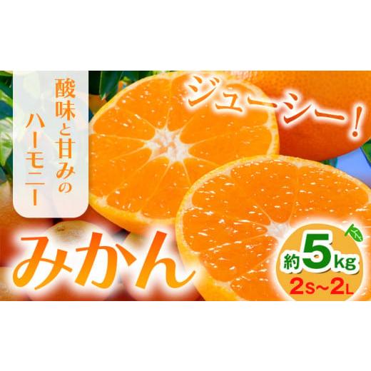 ふるさと納税 みかん・柑橘類 熊本県 玉東町 みかん 約5kg (2S-2Lサイズ) 金峰柑橘組合株式会社 ミカン 柑橘 フルーツ 旬 玉名郡 《10月中旬-1… : ふるさとチョイス ...