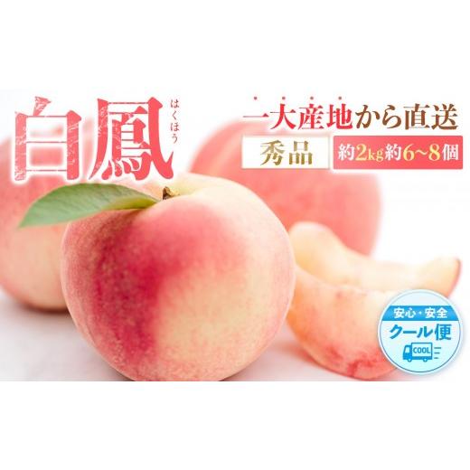 ふるさと納税 もも 和歌山県 那智勝浦町 先行販売 [モモ] 白鳳 桃の王様 約2kg6〜8個 [2026年6月下旬頃より順次発送][秀品]こだわり農家厳選 [KG12] : ふるさとチョイス ...