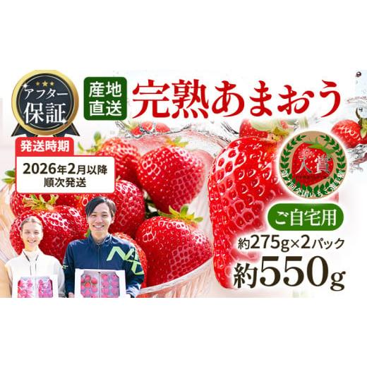 ふるさと納税 いちご 福岡県 田川市 アフター保証 あまおう 約550g（約275g×2パック） 先行受付／2026年2月以降順次発送予定 大粒 不揃い 苺 イチゴ … : ふるさとチョイス ...
