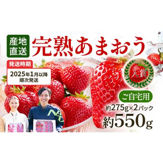 ふるさと納税 あまおう 約550g（約275g×2パック）（先行受付／2025年1月以降順次発送予定）いちご 大粒 不揃い 苺 イチゴ 福岡高級 フルーツ 土産 福岡県 : 6292884 ...