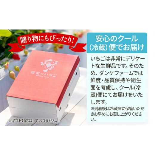 ふるさと納税 いちご 福岡県 田川市 アフター保証 あまおう 約550g（約275g×2パック） 先行受付／2026年2月以降順次発送予定 大粒 不揃い 苺 イチゴ … : ふるさとチョイス ...
