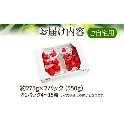 ふるさと納税 あまおう 約550g（約275g×2パック）（先行受付／2025年1月以降順次発送予定）いちご 大粒 不揃い 苺 イチゴ 福岡高級 フルーツ 土産 福岡県 : 6292884 ...
