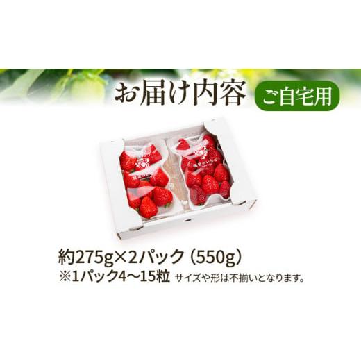 ふるさと納税 いちご 福岡県 田川市 アフター保証 あまおう 約550g（約275g×2パック） 先行受付／2026年2月以降順次発送予定 大粒 不揃い 苺 イチゴ … : ふるさとチョイス ...