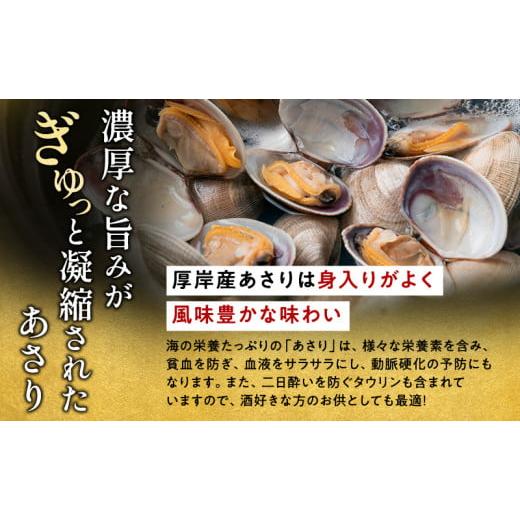 ふるさと納税 魚貝類 あさり 北海道 厚岸町 厚岸産 訳あり 活あさり 500g アサリ No.5863-1175 : ふるさとチョイス - 通販 - Yahoo!ショッピング