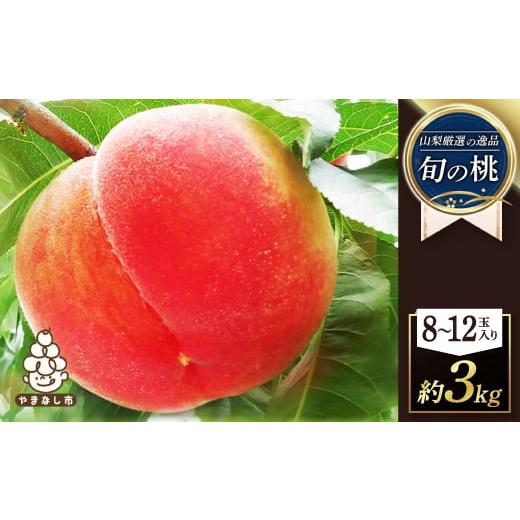 ふるさと納税 もも 山梨県 山梨市 2025年先行受付 山梨厳選旬の桃 約3kg(8〜12玉) 1542059 : 6298271 : ふるさとチョイス - 通販 - Yahoo!ショッピング