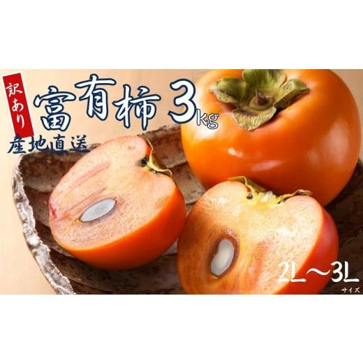 ふるさと納税 果物類 柿 岐阜県 本巣市 訳あり 令和7年産 富有柿 3kg ( 2L~ 3L ) 10-12個 カキ かき 果物 くだもの フルーツ サイズ不揃い 表面 キズ 色ムラ ...