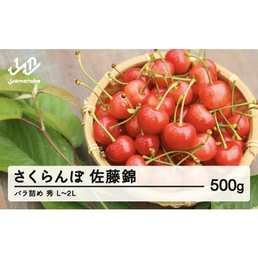 ふるさと納税 果物類 さくらんぼ 山形県 山辺町 先行予約 2026年 山形県産 佐藤錦 バラ詰め 500g 秀 L〜2L混合 2026年6月中旬頃から順次発送 サク… : ふるさとチョイス ...