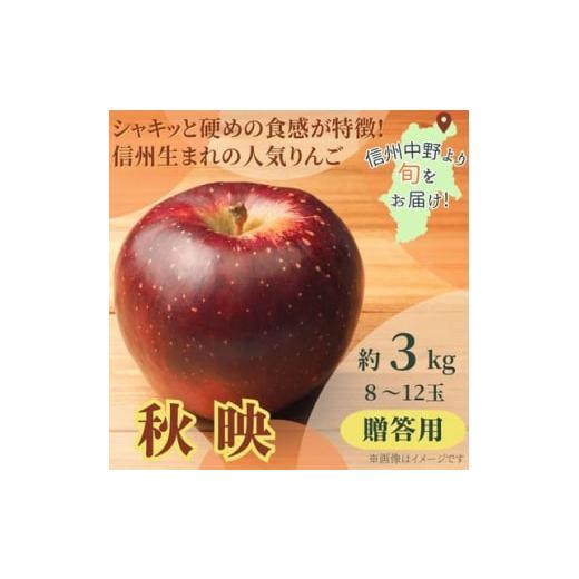 ふるさと納税 果物類 りんご 長野県 中野市 秋映 贈答用 3kg(8〜12玉) 1545334 : 6315969 : ふるさとチョイス - 通販 - Yahoo!ショッピング