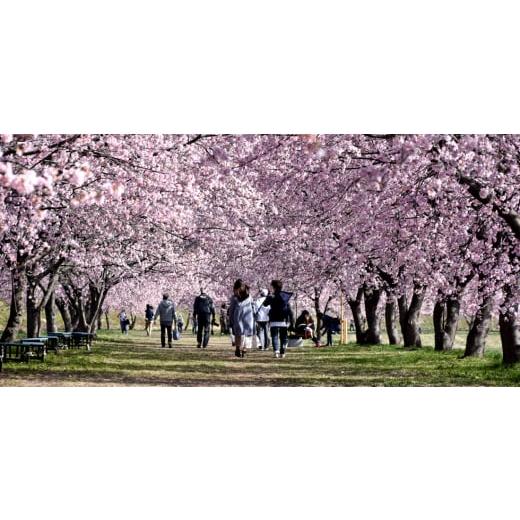 ふるさと納税 菓子 チョコレート 埼玉県 坂戸市 明治 チョコレート効果カカオ86%大袋 210g(42枚)×36袋 1545094 : ふるさとチョイス - 通販 - Yahoo!ショッピング