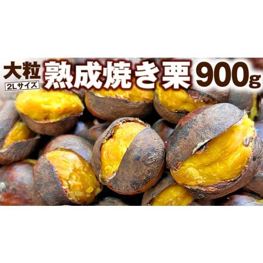 ふるさと納税 果物類 栗 茨城県 筑西市 谷口農場 大粒 熟成 焼き栗 900g ( 2Lサイズ ) 300g × 3袋 完熟 栗 くり クリ 栗ごはん 果物 フルーツ 数量限定 EC0 ...