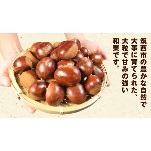 ふるさと納税 果物類 栗 茨城県 筑西市 谷口農場 大粒 熟成 焼き栗 900g ( 2Lサイズ ) 300g × 3袋 完熟 栗 くり クリ 栗ごはん 果物 フルーツ 数量限定 EC0 ...