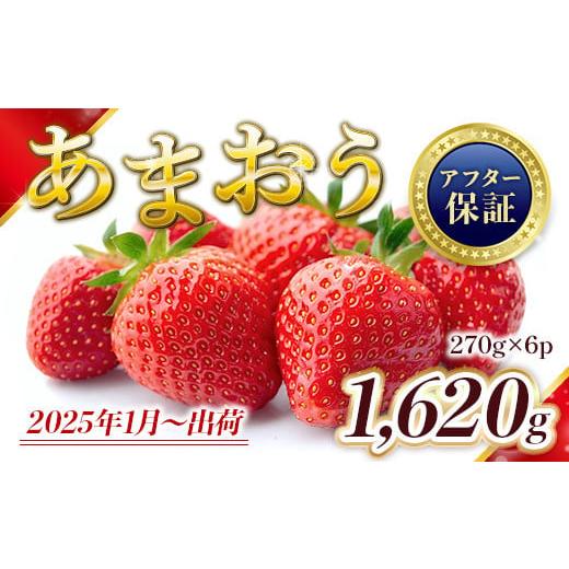ふるさと納税 いちご 福岡県 篠栗町 MZ059 福岡県産 あまおう 1620g 先行予約 2025年1月〜3月末にかけて順次発送予定 : 6338811 : ふるさとチョイス - 通販 ...