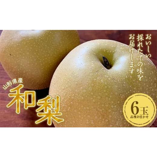 ふるさと納税 果物類 梨 山形県 - 『令和7年産先行受付』 山形県産和梨 6玉 品種おまかせ 秀品 FSY-2054 : 6346582 : ふるさとチョイス - 通販 - Yahoo!ショッピング