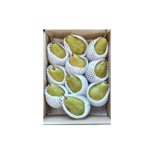 ふるさと納税 梨 山形県 上山市 西洋梨（シルバーベル）5kg 8〜10玉 ご家庭用 0042-2417 : 6348530 : ふるさとチョイス - 通販 - Yahoo!ショッピング