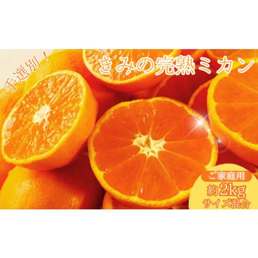 ふるさと納税 果物類 みかん 和歌山県 すさみ町 あま〜い カツオの有機肥料が味の決め手 「きみの完熟ミカン」 約2kg (15~25個程度) サイズ混合 2S~M ご家庭 ...