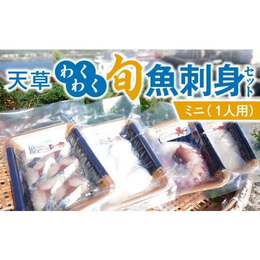 ふるさと納税 旬の鮮魚等 熊本県 天草市 S059-021_天草わくわく旬魚刺身セットミニ（1人用） : ふるさとチョイス - 通販 - Yahoo!ショッピング