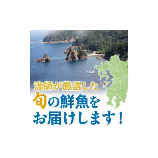 ふるさと納税 旬の鮮魚等 熊本県 天草市 S059-021_天草わくわく旬魚刺身セットミニ（1人用） : ふるさとチョイス - 通販 - Yahoo!ショッピング