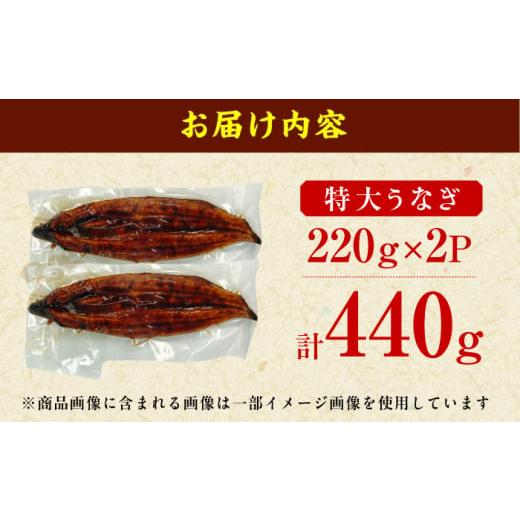 ふるさと納税 うなぎ 福岡県 広川町 特大蒲焼（220g×2尾） 広川町 ／ イールファクトリー株式会社 AFBS005 お届け回数：1回 : 6392921 : ふるさとチョイス - 通販 ...