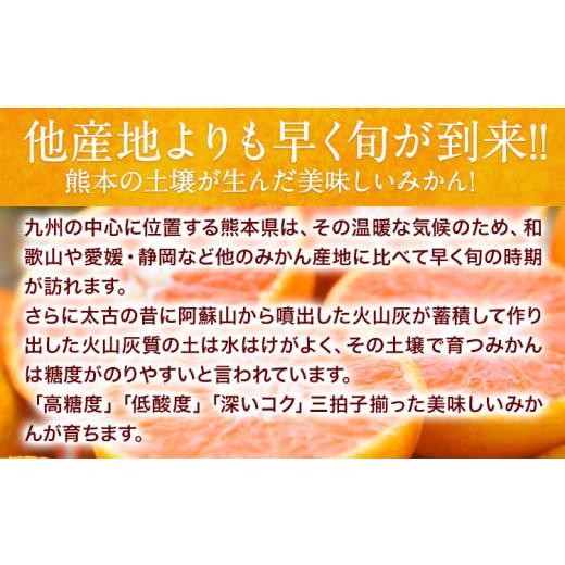 ふるさと納税 果物類 みかん 熊本県 荒尾市 訳あり 大玉 大粒 ミカン 3kg 熊本 ちょっと 傷 5L〜3Lサイズ たっぷり 熊本県産(荒尾市産含む) 熊… : ふるさとチョイス - 通販 ...