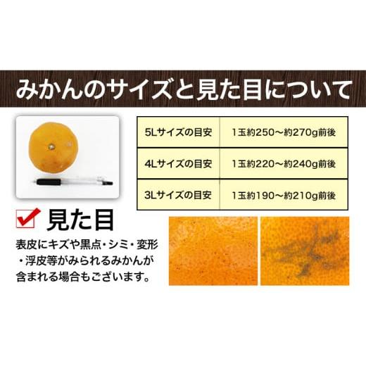 ふるさと納税 果物類 みかん 熊本県 荒尾市 みかん 訳あり 大玉 大粒 ミカン 9kg 熊本 ちょっと 訳あり 傷 5L〜3Lサイズ たっぷり 熊本県産(荒尾市産含む) 熊 ...