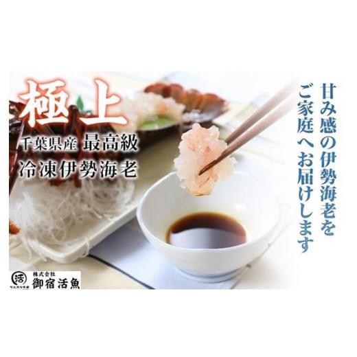 ふるさと納税 エビ 伊勢エビ 千葉県 御宿町 B135 活〆生食用伊勢海老（冷凍）495g（150〜180g）×3匹 : 6412608 : ふるさとチョイス - 通販 - Yahoo!ショッピング