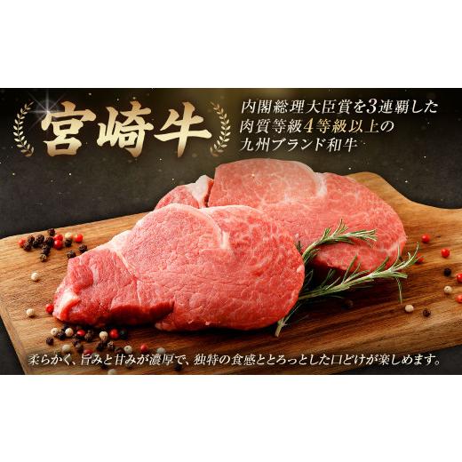 ふるさと納税 牛肉 ヒレ 宮崎県 高鍋町 肉質等級4等級以上 宮崎牛シャトーブリアンステーキ（1000g） 入金確認後、翌月末までに順次出荷 ...