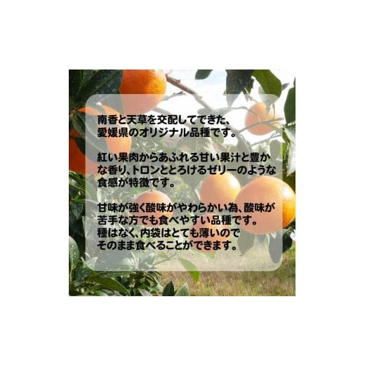 ふるさと納税 みかん・柑橘類 愛媛県 愛南町 数量限定 先行予約 愛媛 まどんな 3kg みかん サイズミックス 18000円 愛果28号 紅 ...
