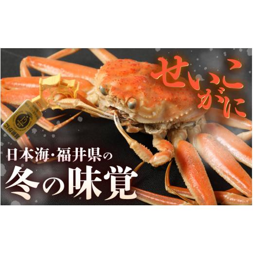 ふるさと納税 カニ ずわいガニ 福井県 美浜町 先行予約 せいこがに（越前がに） 甲羅盛り 計約220g (約110g × 2杯) 大サイズ 冷凍 2025年11月下旬以降順次発 ...
