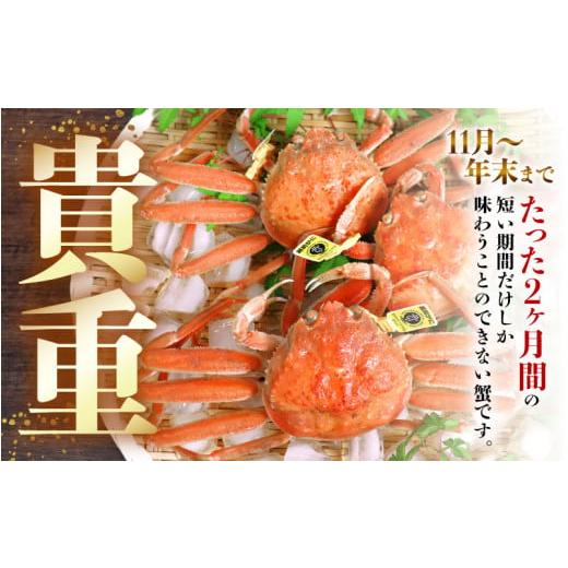 ふるさと納税 カニ ずわいガニ 福井県 美浜町 先行予約 せいこがに（越前がに） 甲羅盛り 計約220g (約110g × 2杯) 大サイズ 冷凍 2025年11月下旬以降順次発 ...