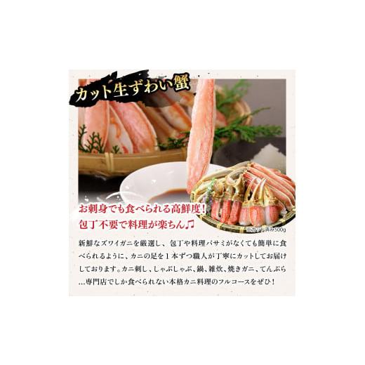 ふるさと納税 エビ・カニ等 カニ 福井県 敦賀市 敦賀の豪華 海鮮福袋 8種 024-e201 生ズワイポーション むきえび ホタテ 甘エビ とろろ昆布 いくら?油漬け さ ...