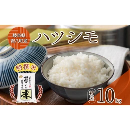 ふるさと納税 米 岐阜県 安八町 No.5331-0406 R6年産 特選米 ハツシモ 精米 10kg ×1袋 お米 白米 ごはん 精白米 はつしも 令和6年産 ブランド米 低農薬 ...