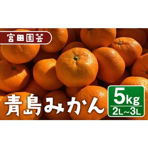 ふるさと納税 果物類 みかん 大分県 宇佐市 青島みかん(5kg・2L、3Lミックス) みかん 蜜柑 フルーツ 果物 くだもの 柑橘 期間限定 112300400 宮田園芸 : 6463270 ...