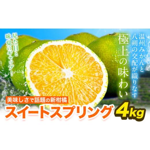 ふるさと納税 果物類 みかん 熊本県 津奈木町 スイートスプリング 4kg 熊本県産 送料無料 旬 の 熊本産 取り寄せ (3L〜Sサイズ／3L-S混合) 《12月下旬… : ふるさとチョイス ...