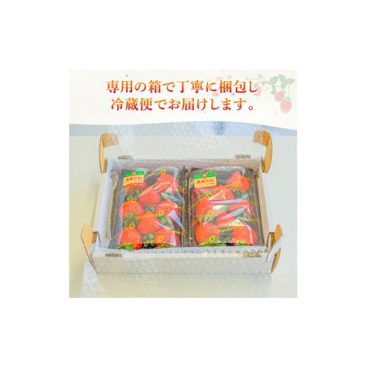 ふるさと納税 いちご 埼玉県 羽生市 あまりん 560g (280g×2P) 苺 イチゴ ストロベリー 産地直送 ご当地 果物 くだもの フルーツ デザート 食品 冷蔵 … : ふるさと ...