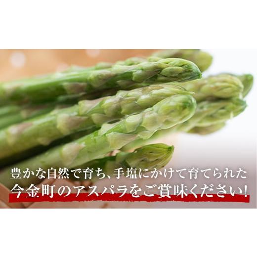 ふるさと納税 野菜類 アスパラガス 北海道 今金町 先行予約 朝採れ新鮮アスパラ 1.5kg（2Lサイズ）（2025年3月下旬〜6月中旬または7月上旬〜9月上旬頃発送）… : ふるさとチョイス ...
