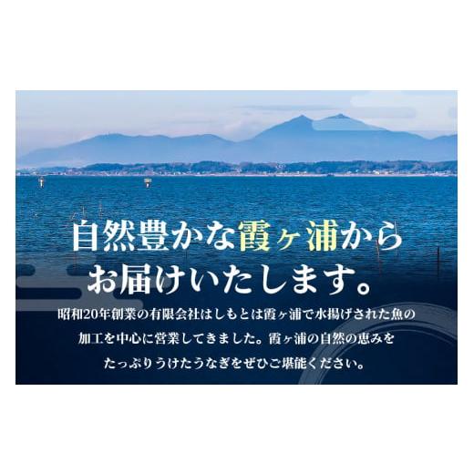 ふるさと納税 うなぎ 茨城県 潮来市 国内産 やわらか新仔うなぎ蒲焼 2尾 計200〜220g (100〜110g×2尾) 食べ切りサイズ ふっくら蒲焼き ブランド鰻使用 秘伝の ...