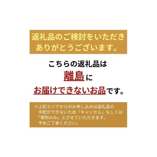 ふるさと納税 ファッション 大阪府 岸和田市 Yogibo Lounger Rainbow ( ヨギボー ラウンジャー レインボー ...