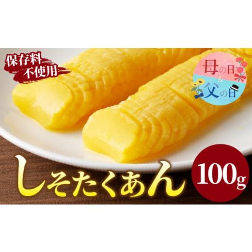 ふるさと納税 加工品等 漬物 宮崎県 都農町 父の日までにお届け \ポスト投函／しそたくあん100g おかず 野菜 加工品 国産_T037-003-FA 父の日までにお… : ふるさとチョイス ...