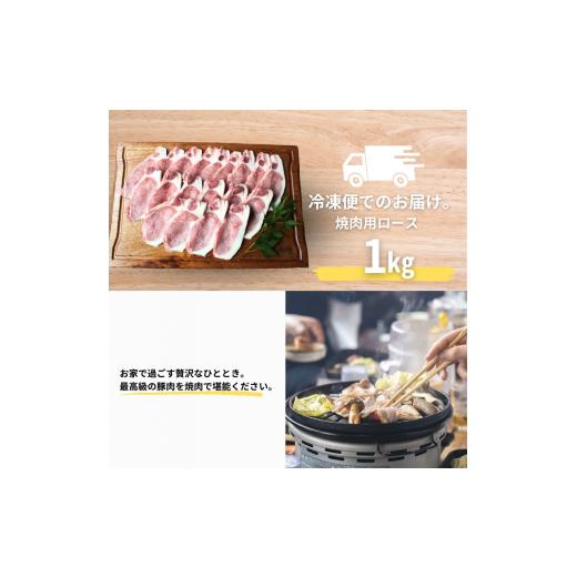 ふるさと納税 豚肉 ロース 京都府 南丹市 No.5334-0304 国産豚肉 焼肉用 1kg 京丹波高原豚 : ふるさとチョイス - 通販 - Yahoo!ショッピング