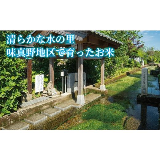 ふるさと納税 米 コシヒカリ 福井県 越前市 〈先行予約・新米〉減農薬米 こしひかり 6kg(3kg×2袋)／令和7年 福井県産 （白米）2025年12月発送 人気品種 少量… : ふるさと ...
