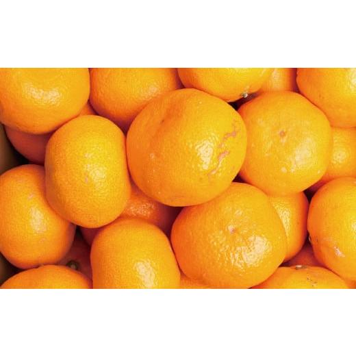 ふるさと納税 果物類 みかん 和歌山県 由良町 先行予約 家庭用大きな有田みかん大きな(2L以上混合)2.5kg+250g 11月より発送 訳あり わけあり 光センサー選果 … : ふるさと ...