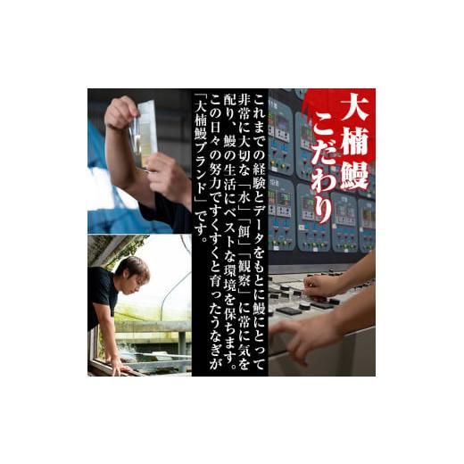 ふるさと納税 うなぎ 鹿児島県 志布志市 二の丑(7／31)までに配送 うなぎの大楠 中 5尾セット計650g(130g×5) c0-094-us2 二の丑配送 5尾セット計650g(130g ...