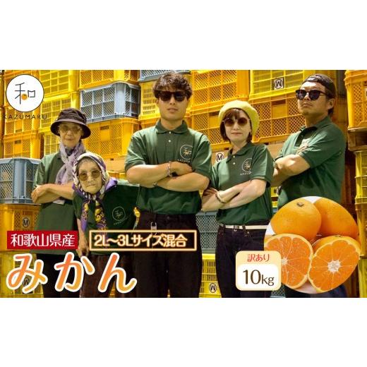 ふるさと納税 果物類 みかん 和歌山県 九度山町 訳あり 森本農園の手選別 大玉みかん 約10kg 和歌山県産 2L・3Lサイズ混合 [北海道・沖縄・離島配送不可][2… : ふるさとチョイス ...
