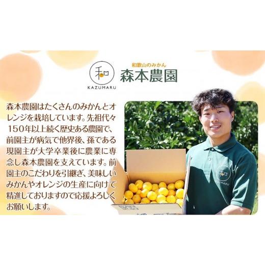 ふるさと納税 果物類 みかん 和歌山県 九度山町 訳あり 森本農園の手選別 大玉みかん 約10kg 和歌山県産 2L・3Lサイズ混合 [北海道・沖縄・離島配送不可][2… : ふるさとチョイス ...