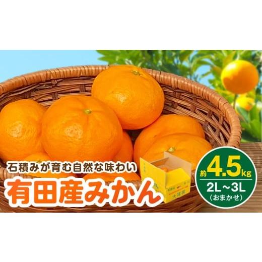 ふるさと納税 果物類 みかん 和歌山県 湯浅町 BT6015_和歌山県有田産 4.5kg 3L〜2Lサイズ（おまかせ） : ふるさとチョイス - 通販 - Yahoo!ショッピング